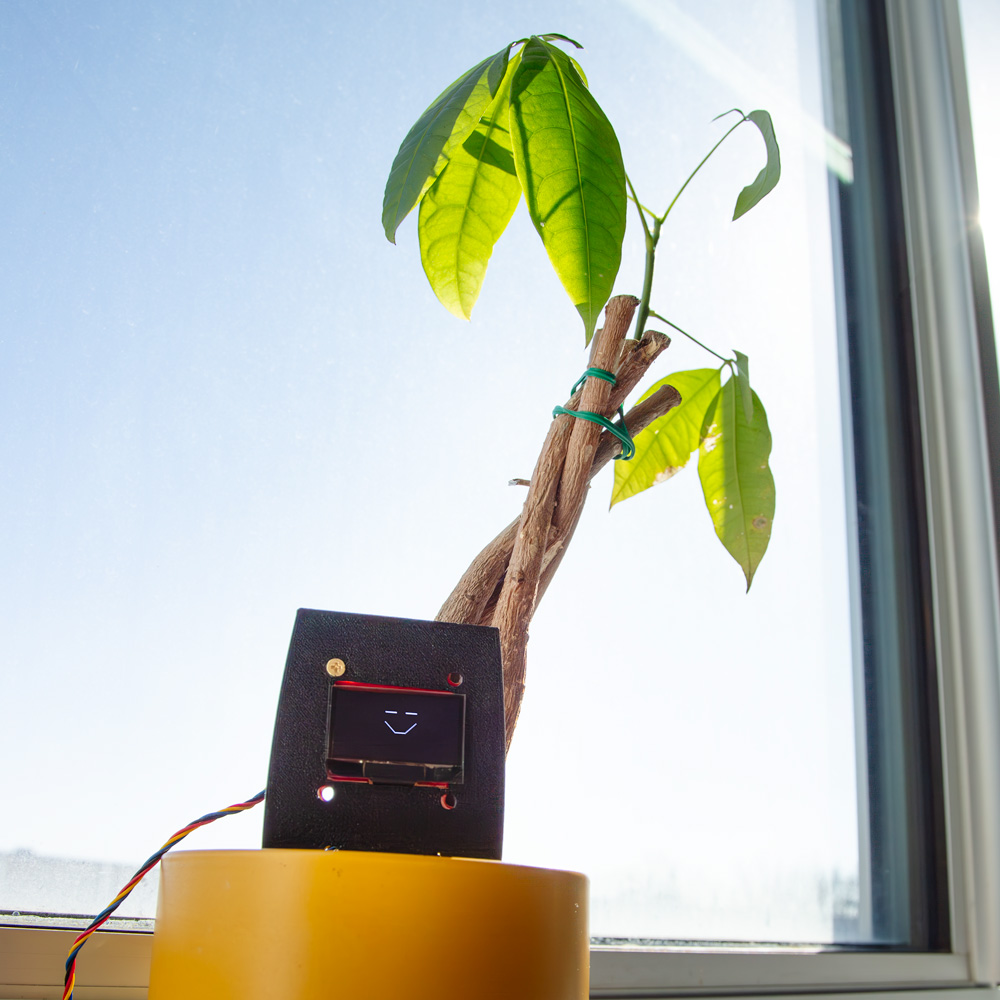 Smart Plant Care! Build a Qwiic Soil Moisture Sensor System - News ...